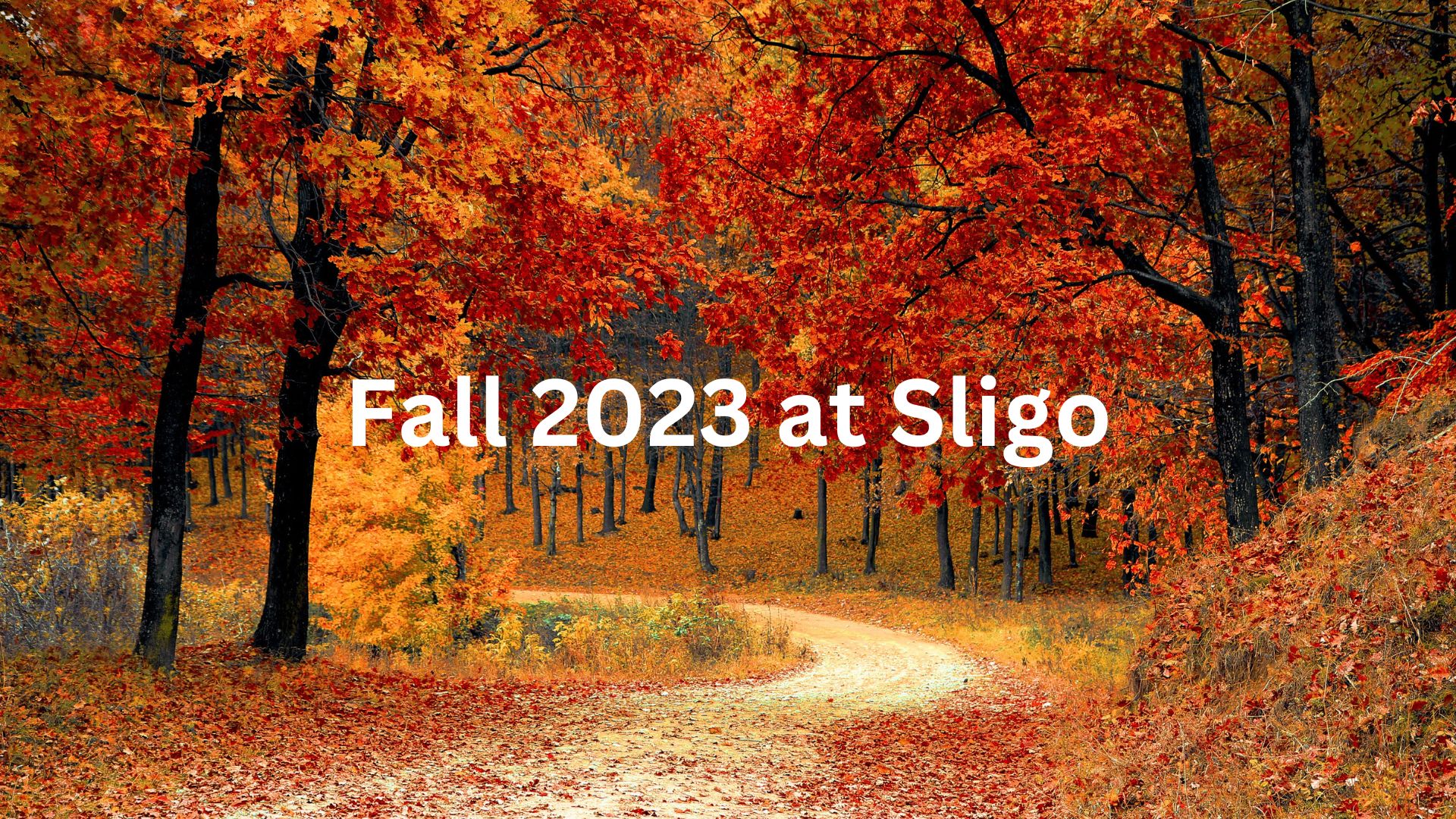 Sunday Sermon Videos – Fall 2023 | Sligo Baptist Church